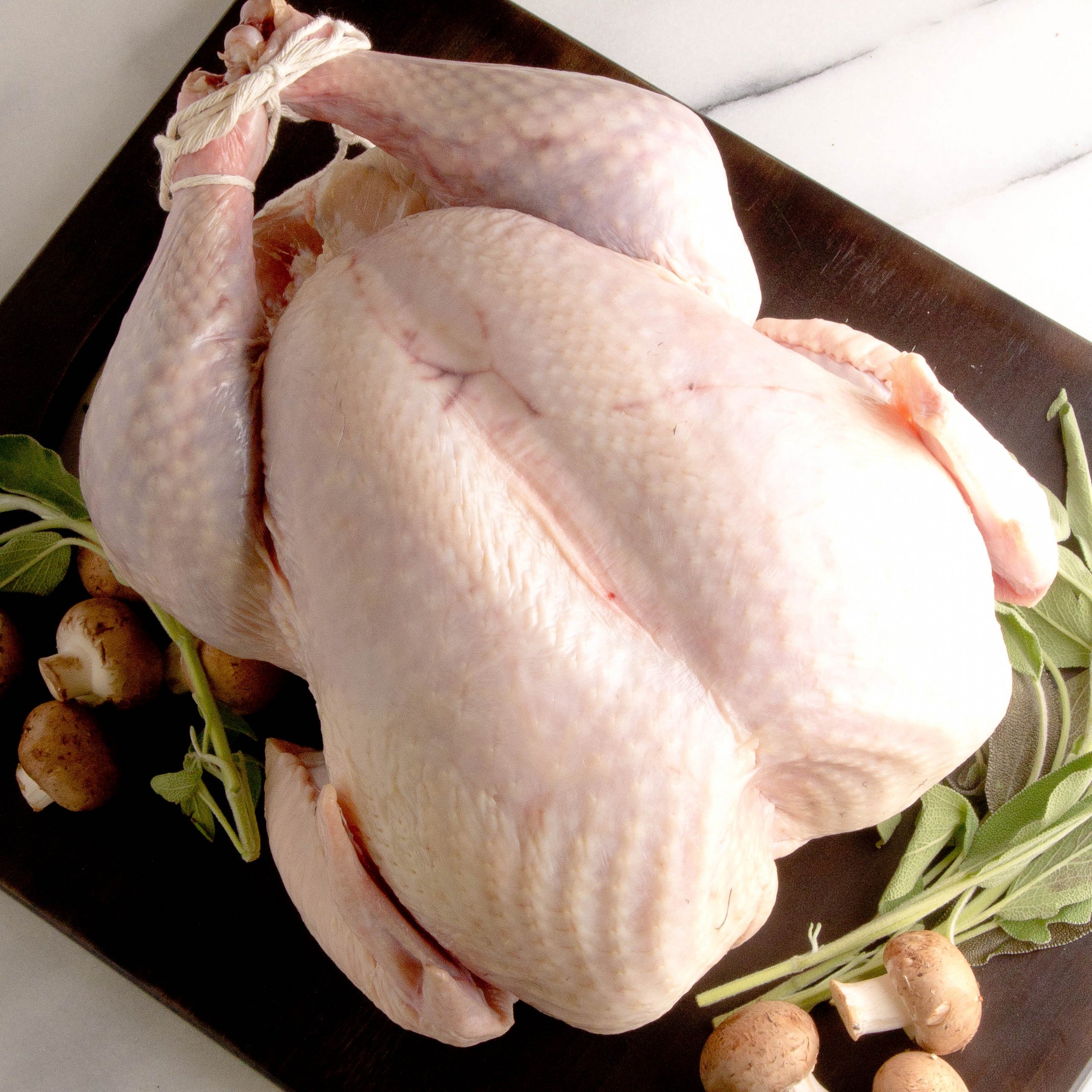 Pastured Chicken & Poultry – Stillman Quality Meats